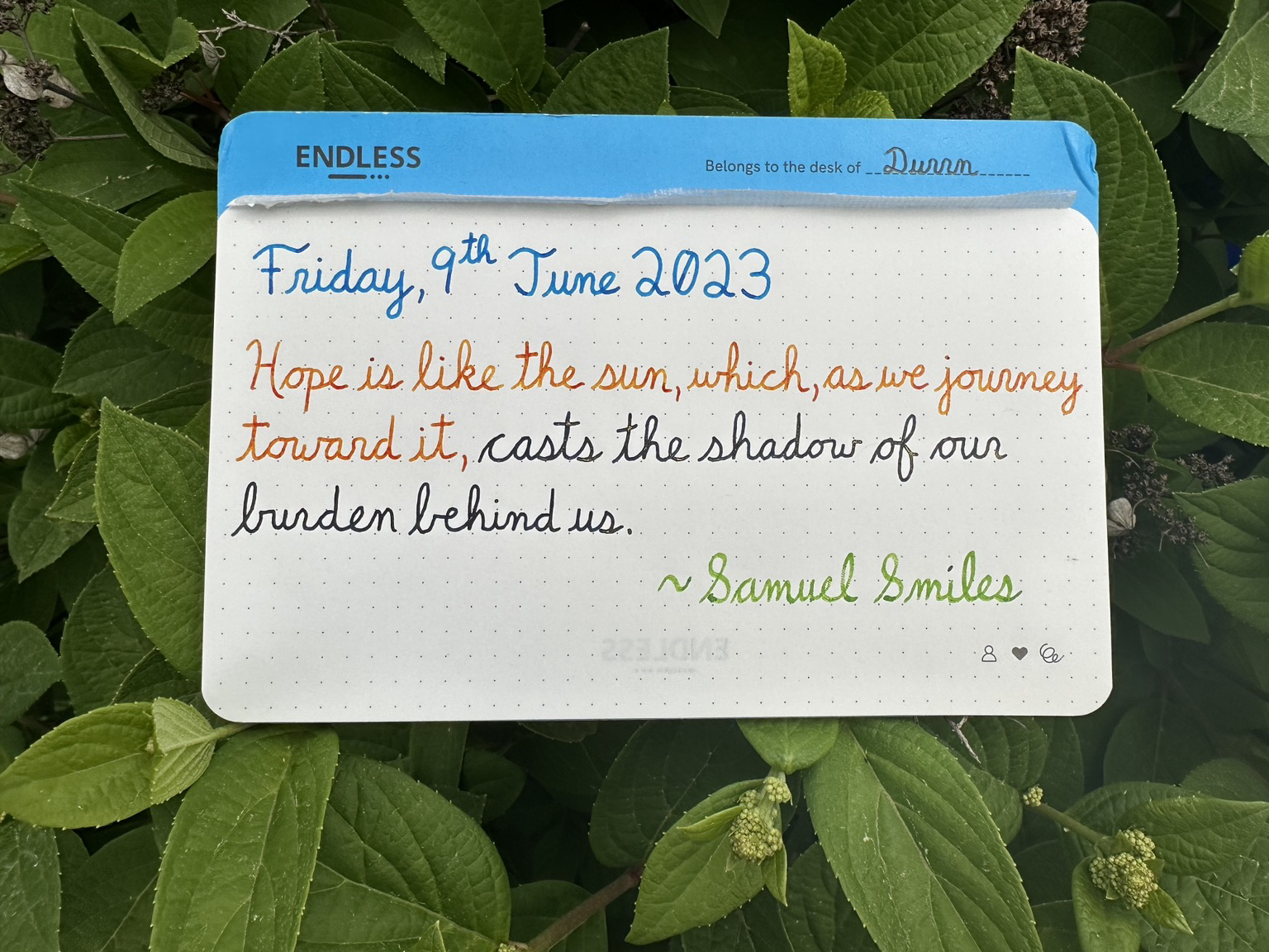 Durrn Thunderwing (@durrn@macrofurs.social) - macrofurs.social - Where ...