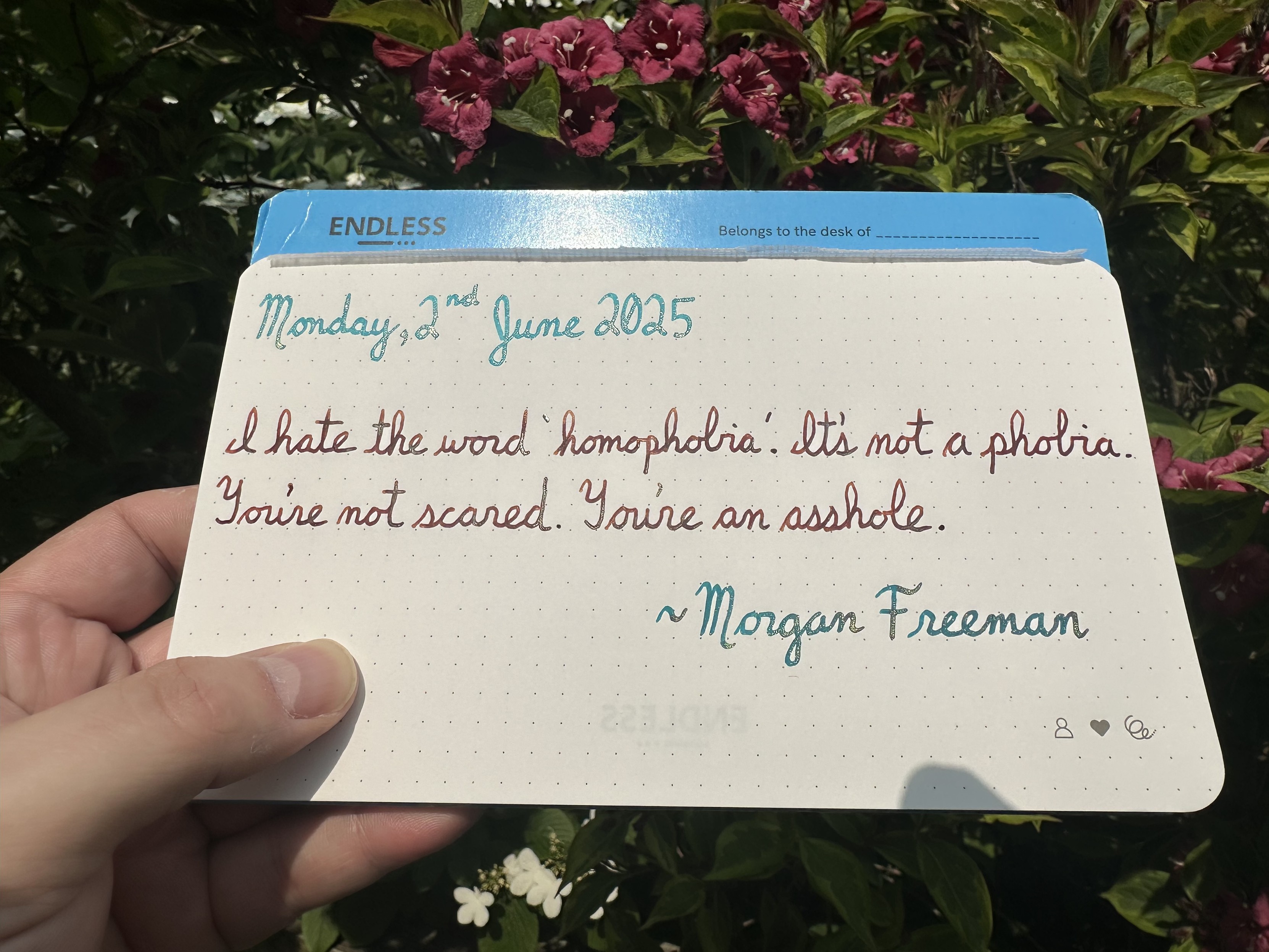 Durrn Thunderwing: " 🏳️‍🌈🏳️‍⚧️📜🖋️ 👀🐲🐯 ️ #PenQuote #June2nd #LoveIsLo ...